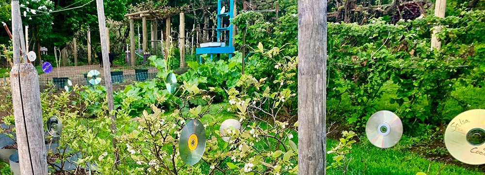 We have creative ideas for your old CD collection - Nuts About Hi-Fi